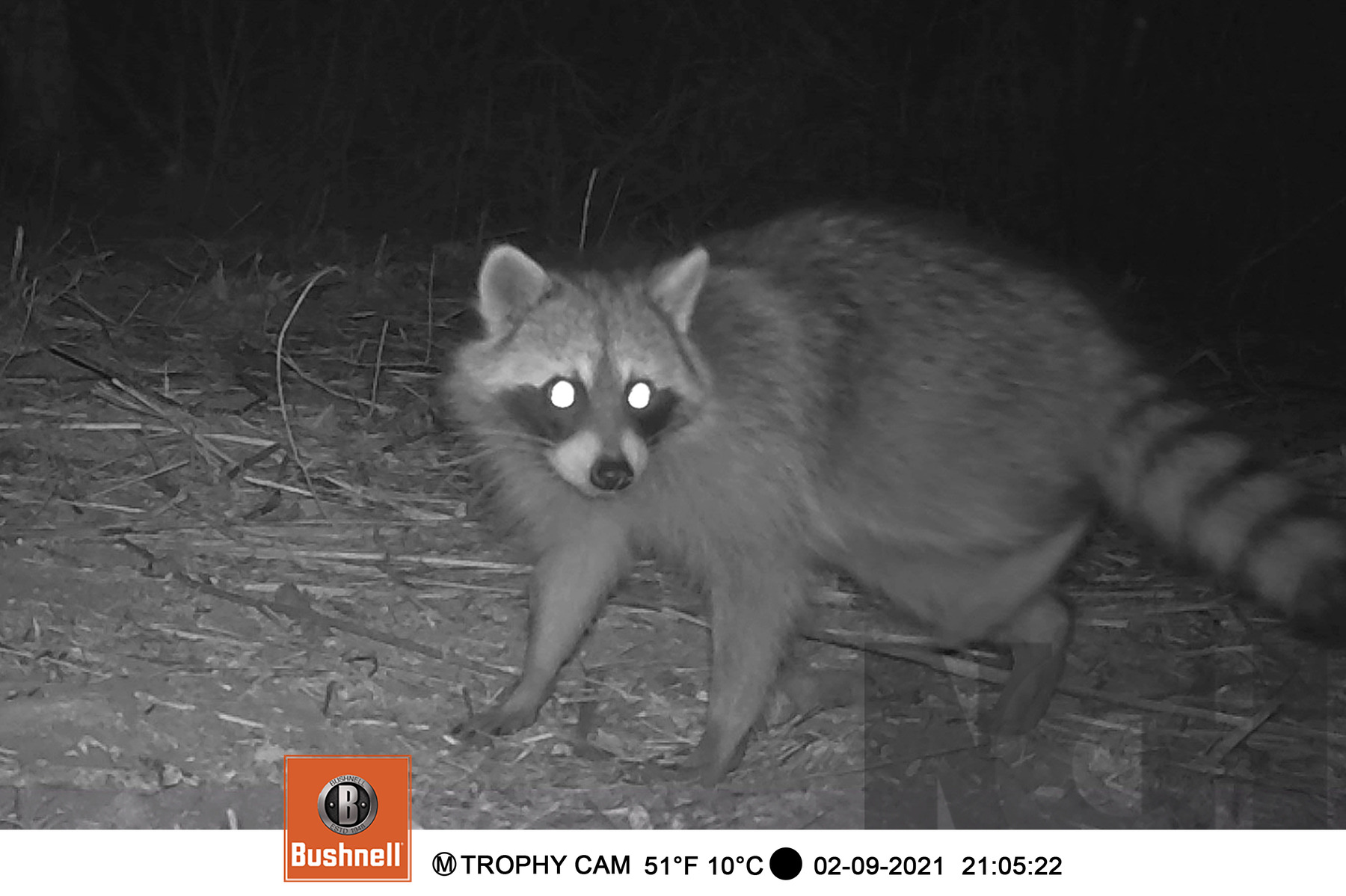 Catálogo Fauna - Jardin Botanico